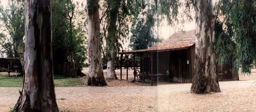 Locations Hub - Buttonwillow Land and Cattle Company