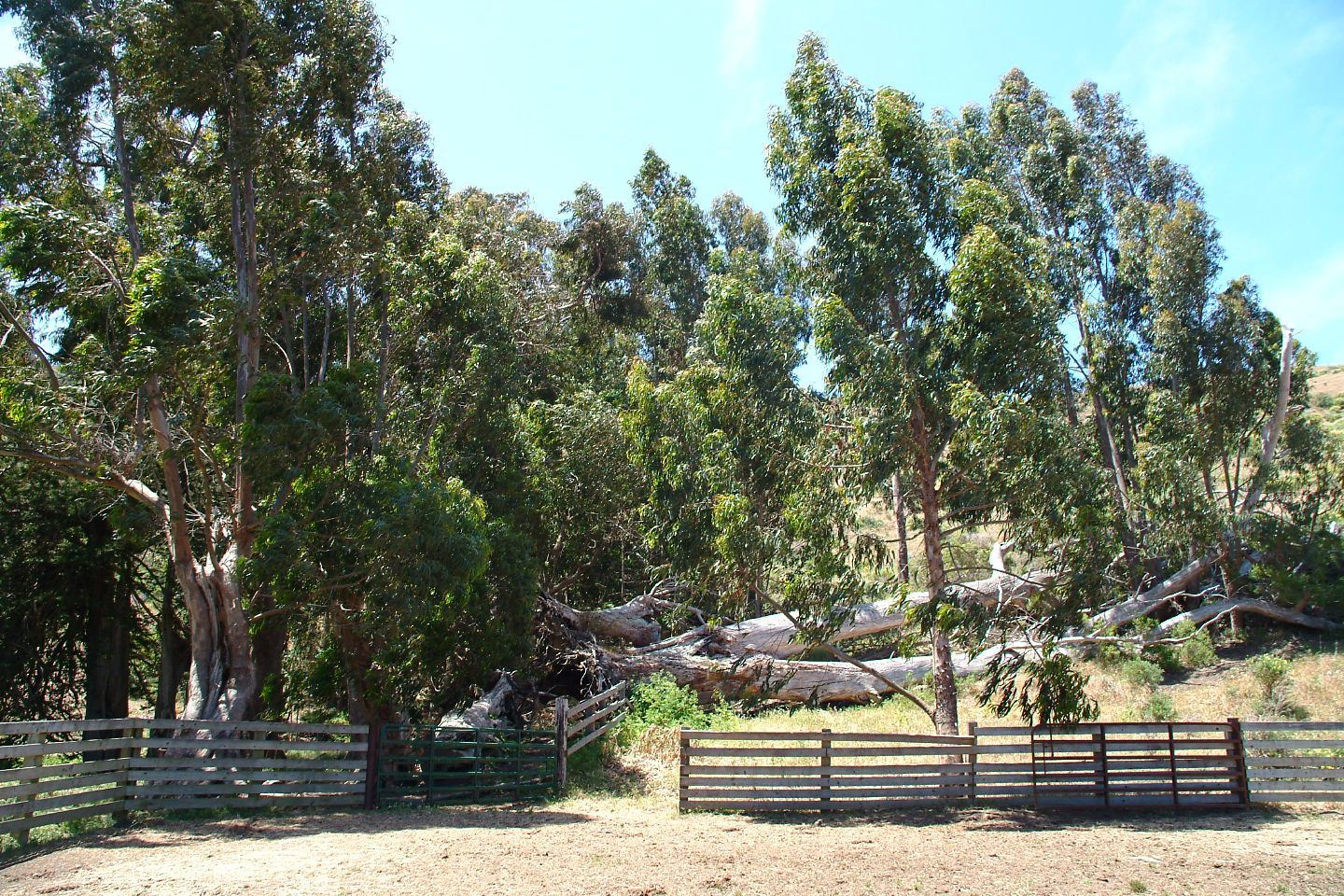 Locations Hub - Brazil Ranch