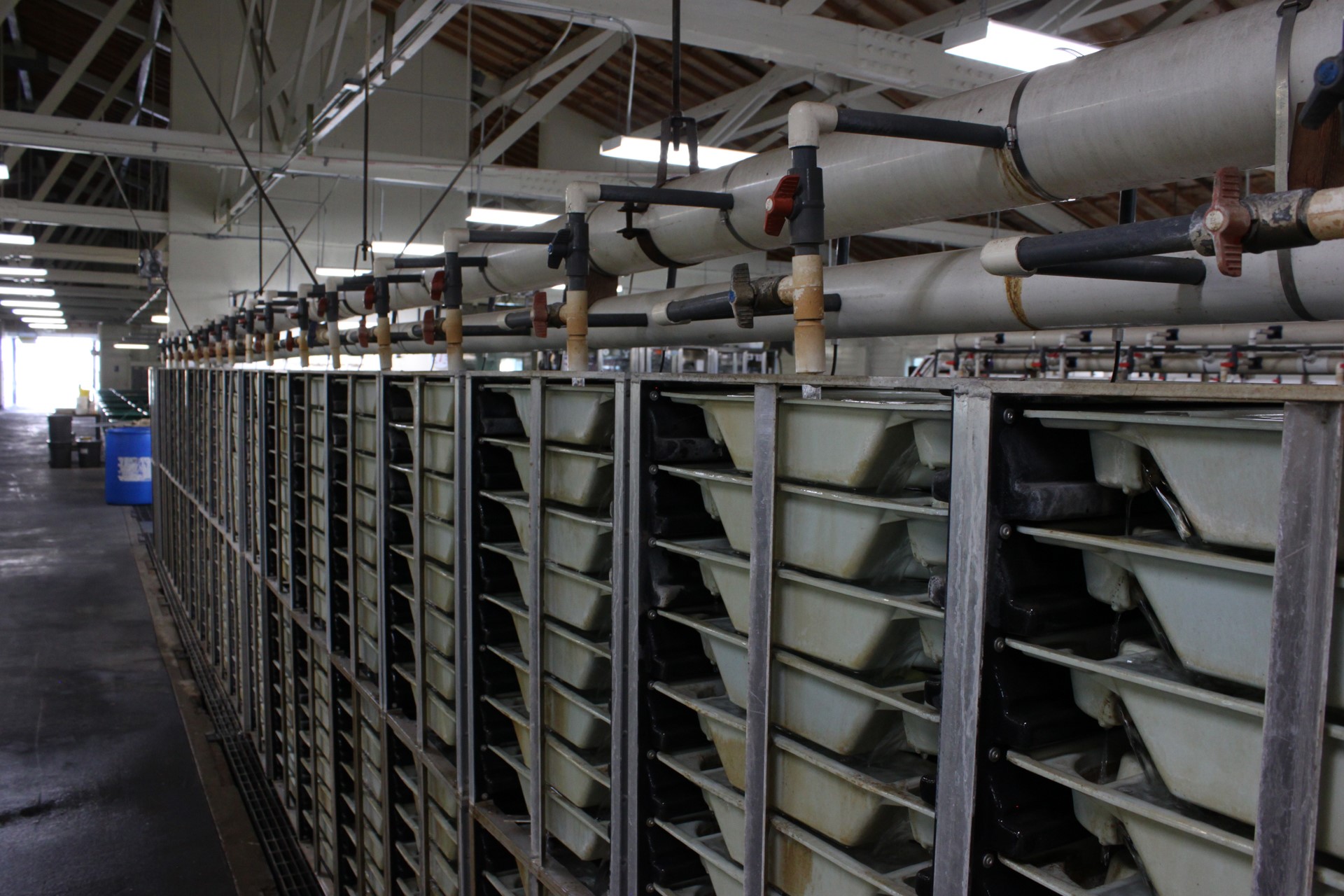 Locations Hub - Coleman National Fish Hatchery