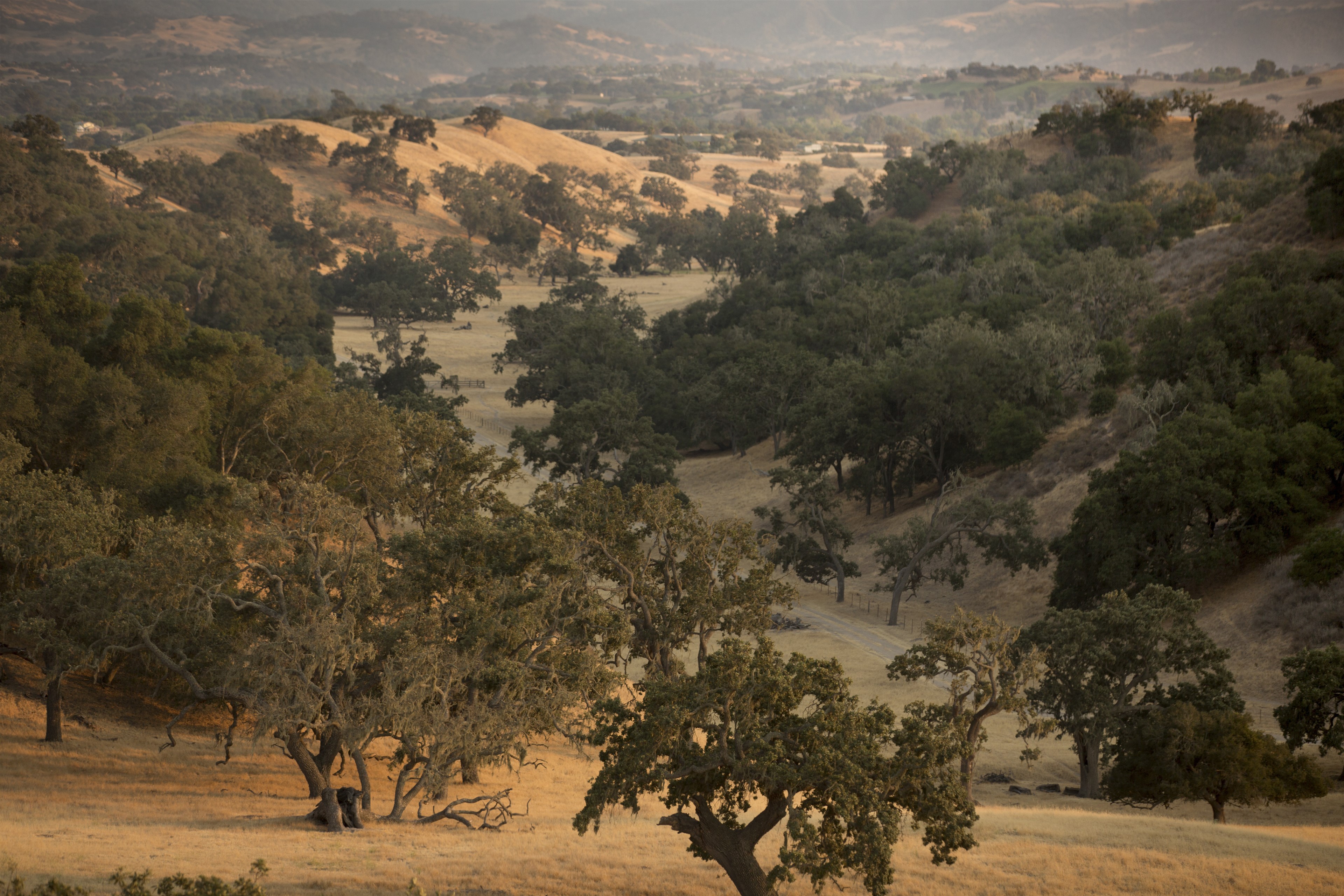 Locations Hub - Ted Chamberlin Ranch