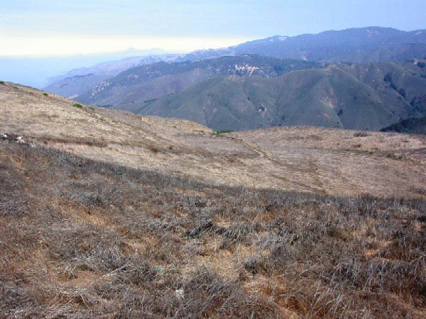 Locations Hub - Brazil Ranch