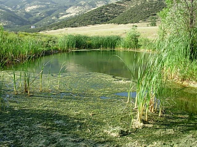 Locations Hub - Firestone Ranch