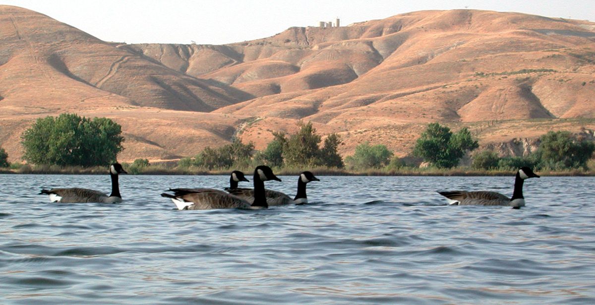 Locations Hub - Lake Ming