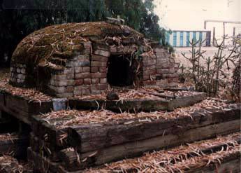 Locations Hub - Buttonwillow Land and Cattle Company