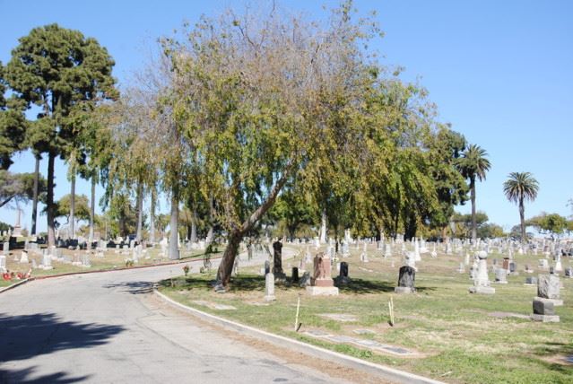 Locations Hub - Angelus-Rosedale Cemetery