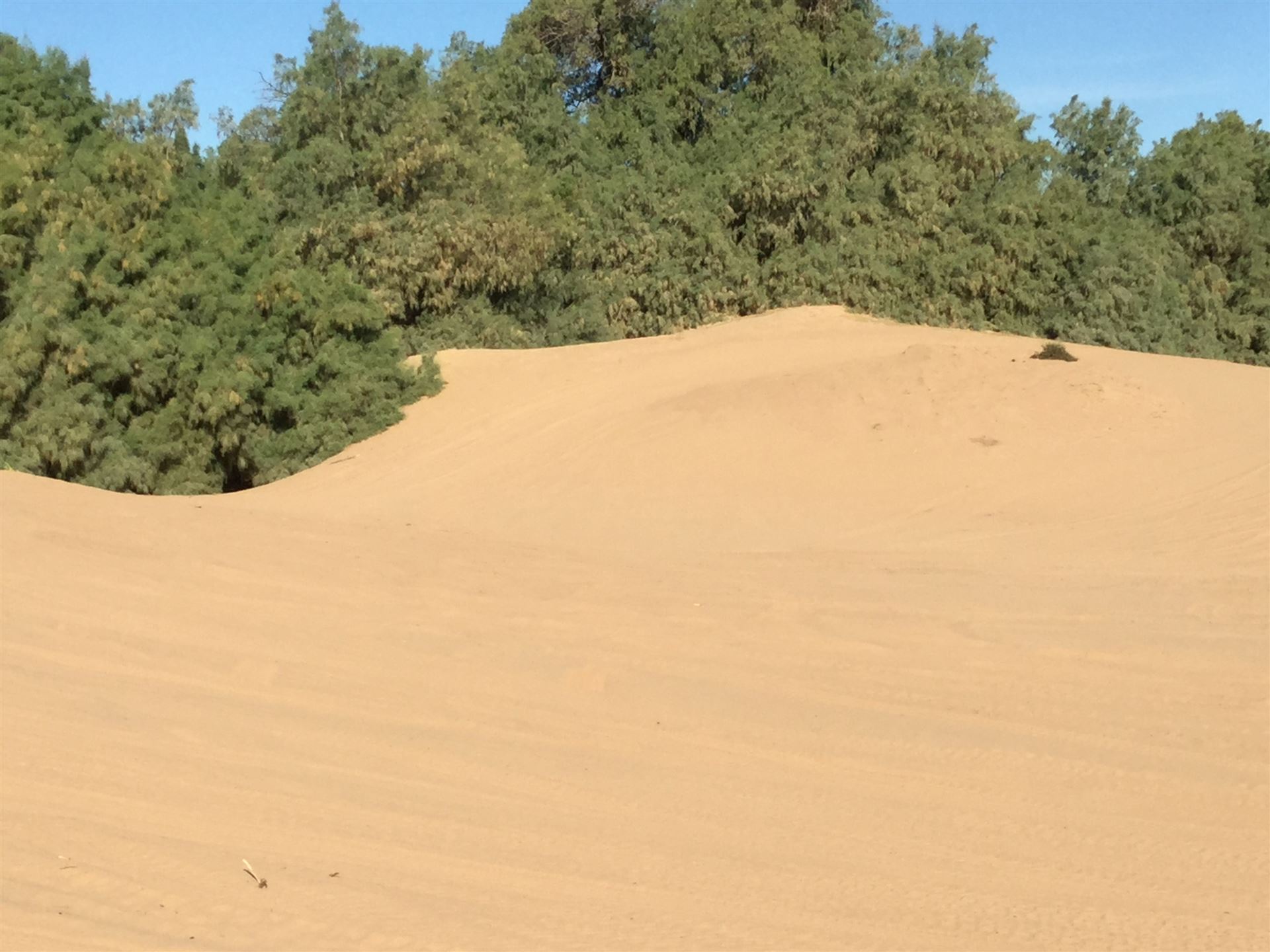 Locations Hub - Heber Dunes State Vehicular Recreation Area (SVRA)