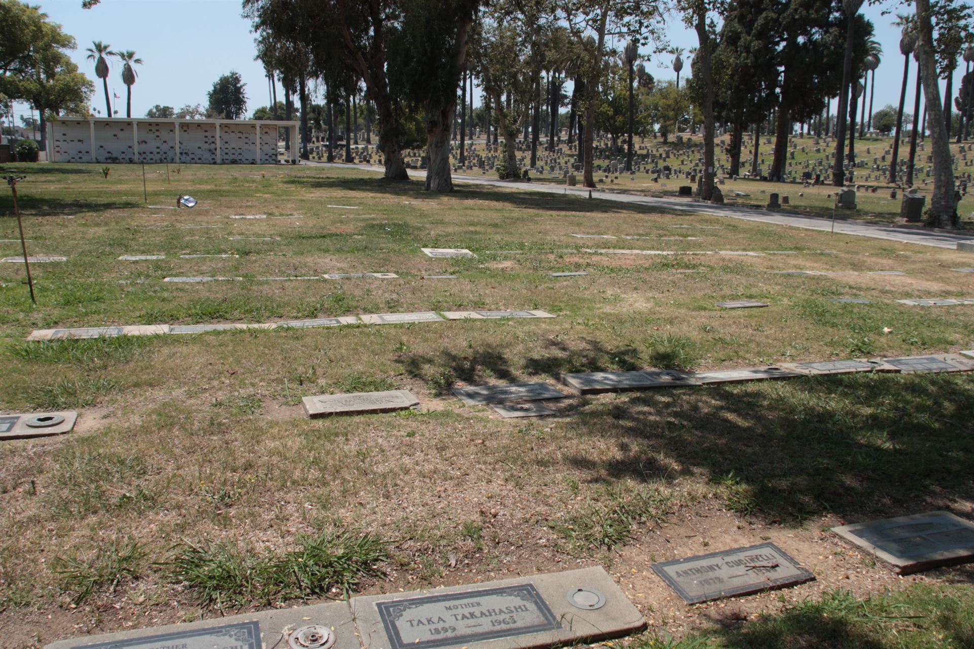 Locations Hub - Angelus-Rosedale Cemetery