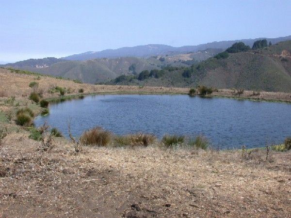 Locations Hub - Brazil Ranch