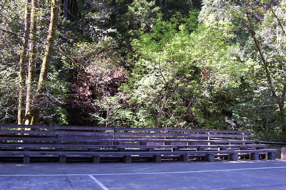 Locations Hub - Alliance Redwoods Conference Grounds