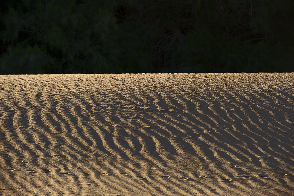 Locations Hub - Heber Dunes State Vehicular Recreation Area (SVRA)