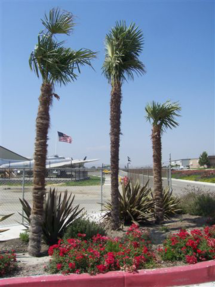 Locations Hub - Chino Airport aka Cal Aero Field - adjacent to Planes ...