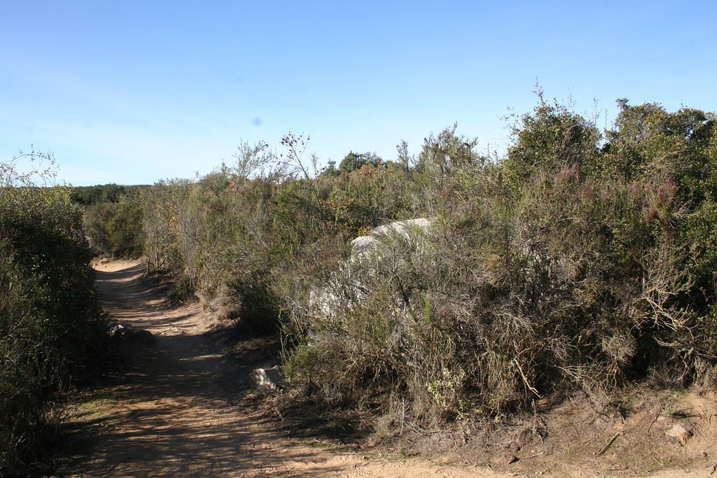 Locations Hub - Santa Rosa Plateau Ecological Reserve