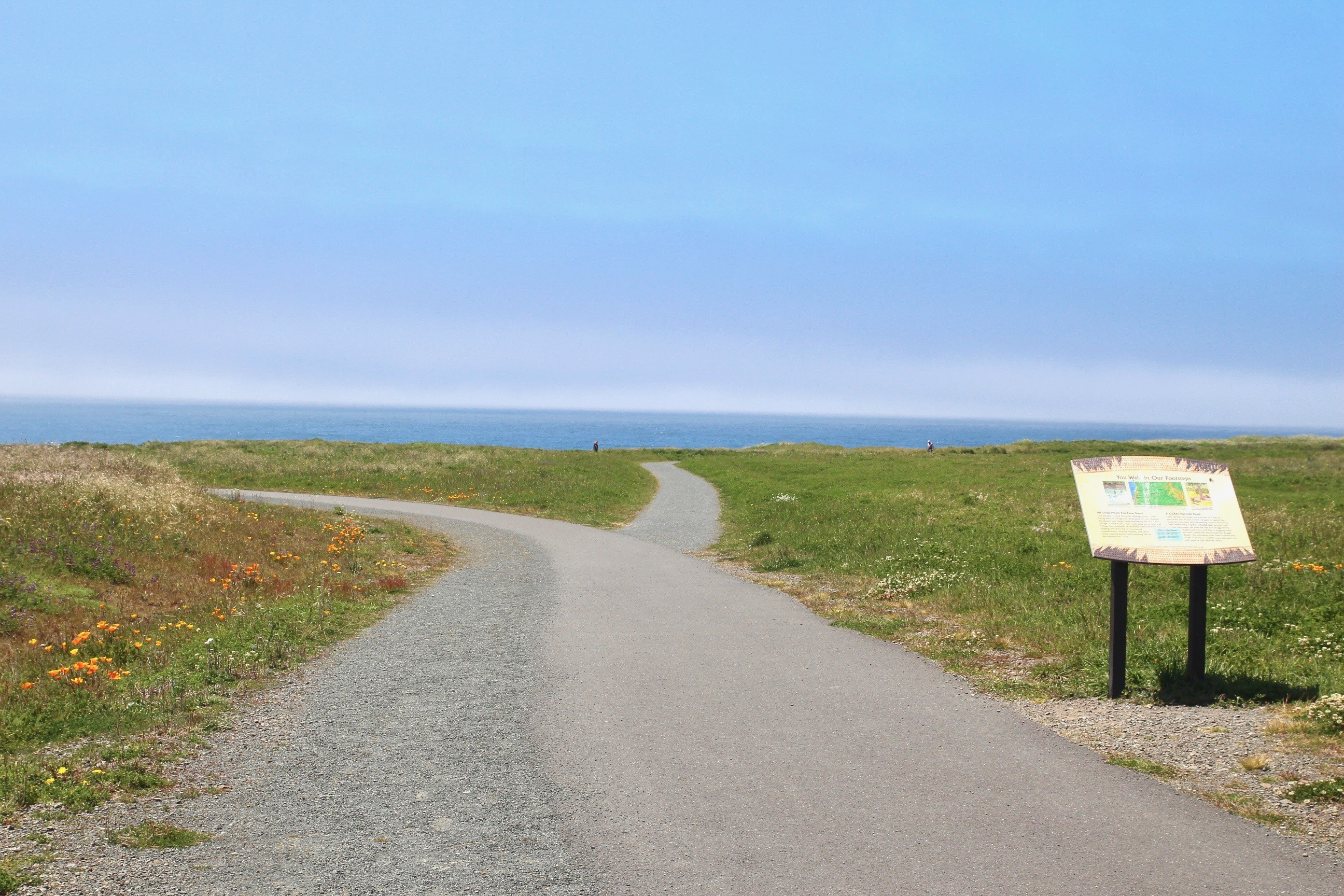 Locations Hub - Noyo Headlands Park