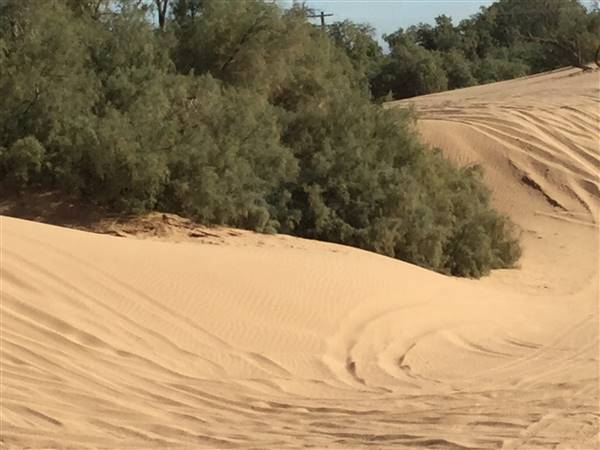 Locations Hub - Heber Dunes State Vehicular Recreation Area (SVRA)