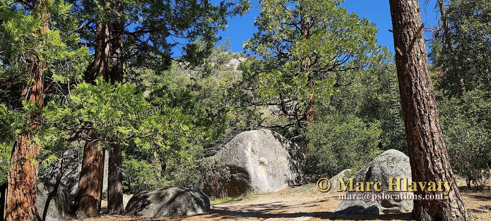 Locations Hub - Idyllwild Regional Park