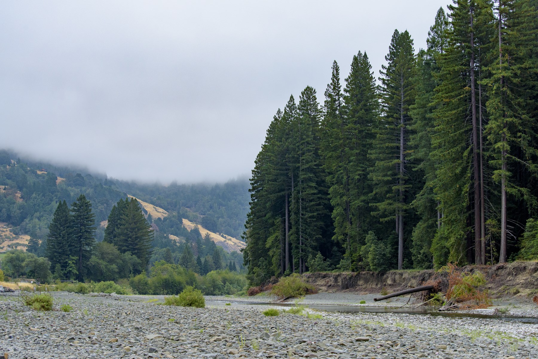 Locations Hub - Benbow State Recreation Area (SRA)
