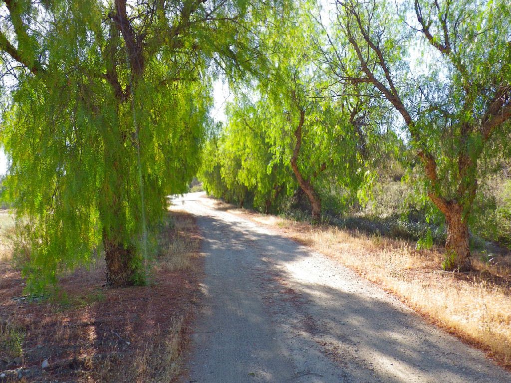 Locations Hub - Sleepy Valley Ranch