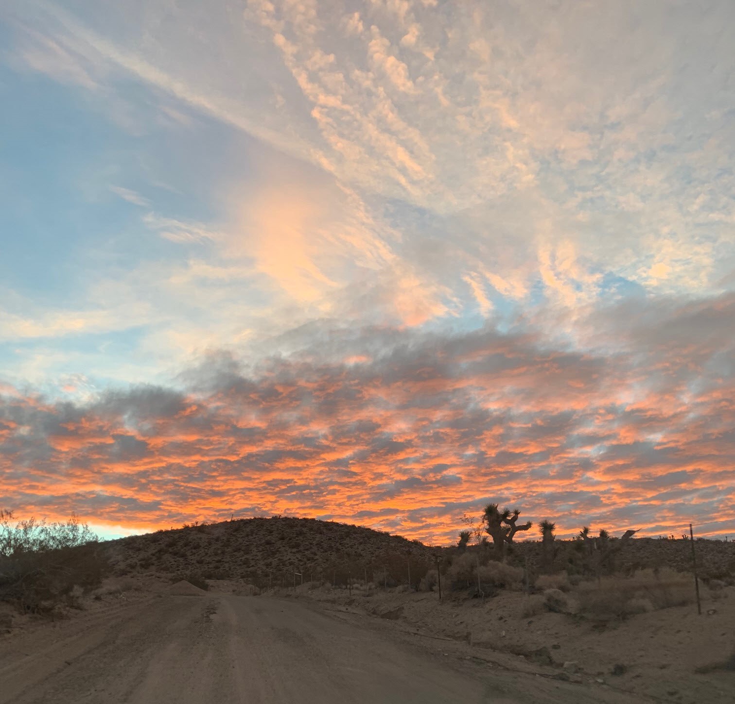 Locations Hub - Red Hill Cinder Mine - Twin Mountain Rock Venture, LLC