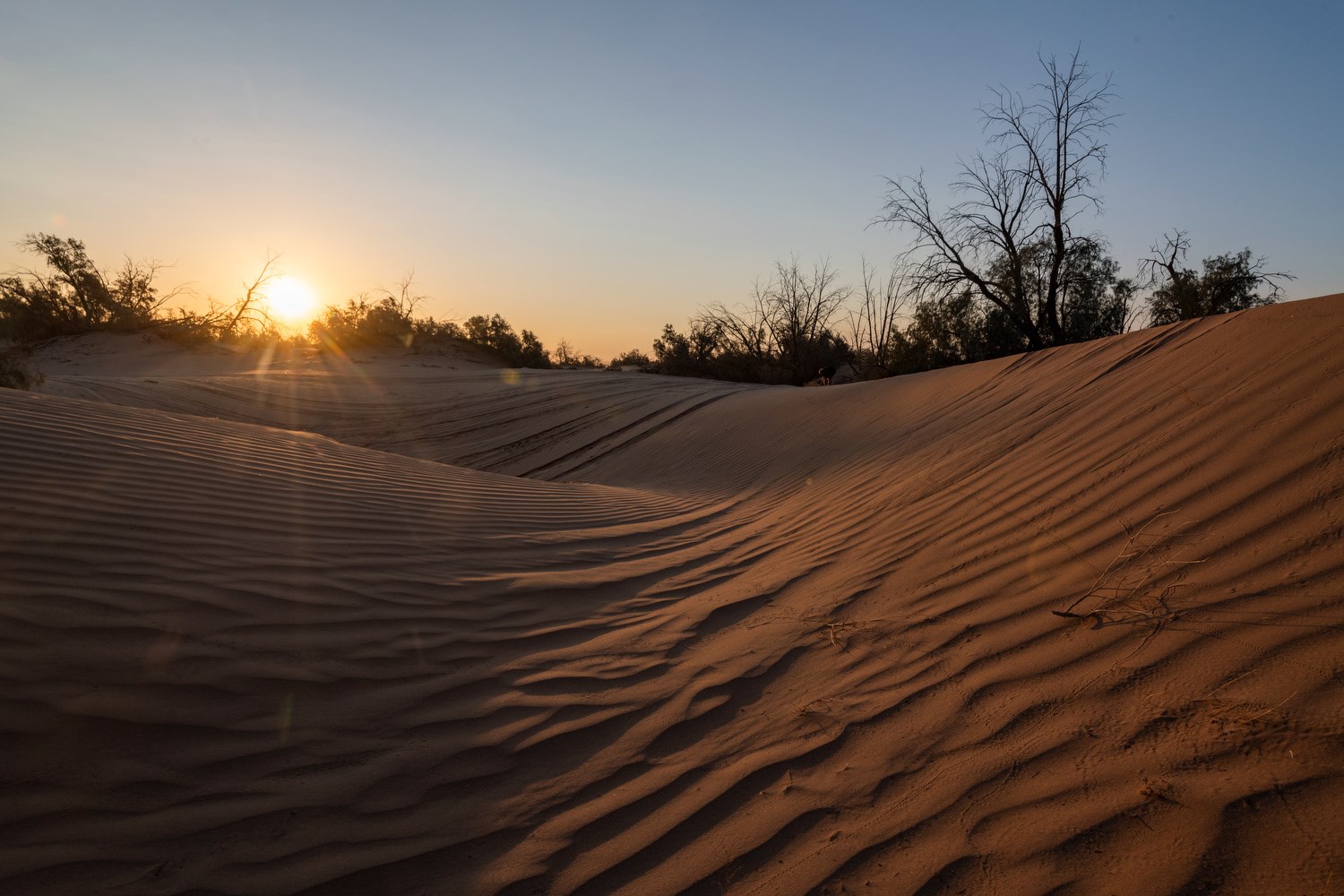 Locations Hub - Heber Dunes State Vehicular Recreation Area (SVRA)