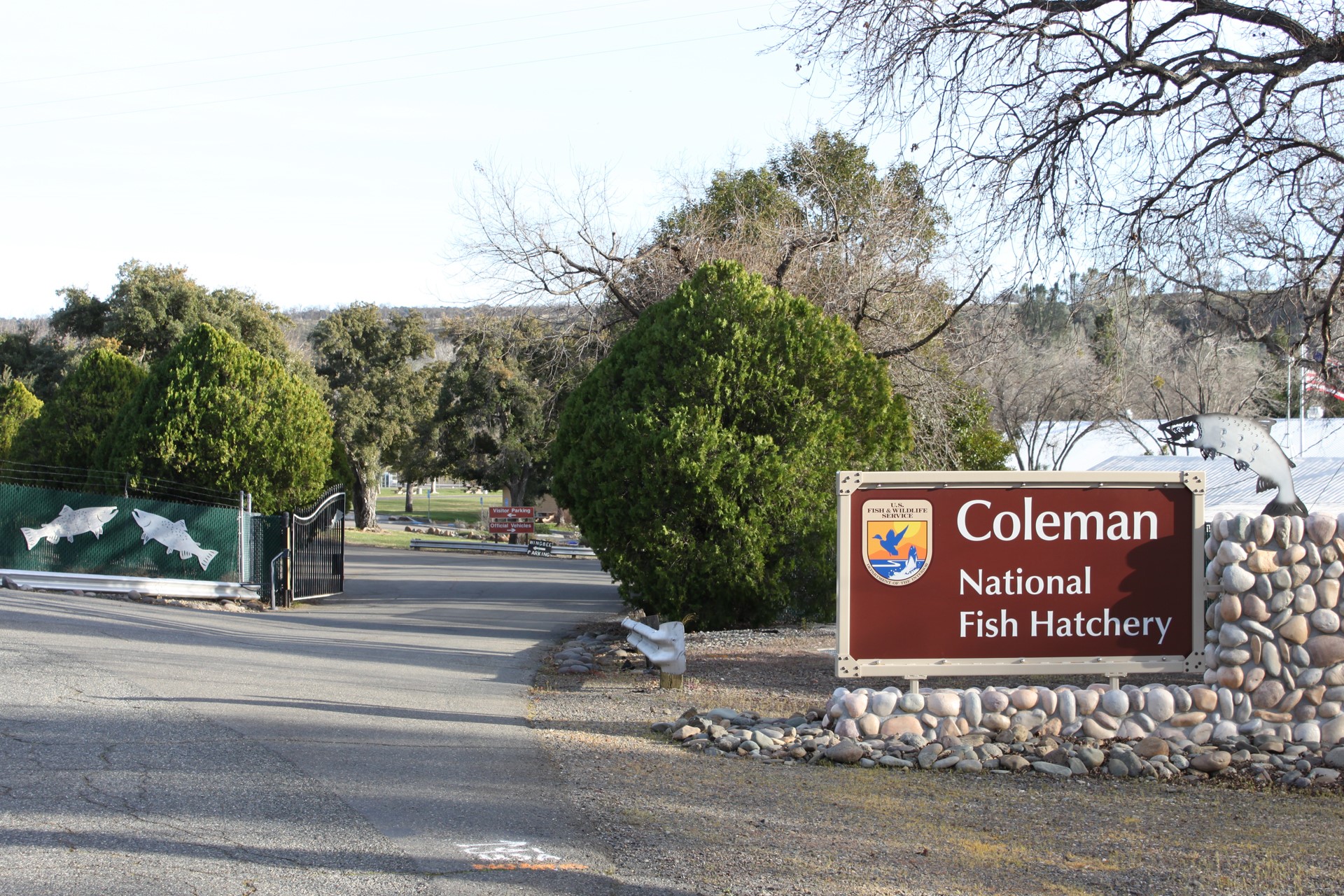Locations Hub - Coleman National Fish Hatchery